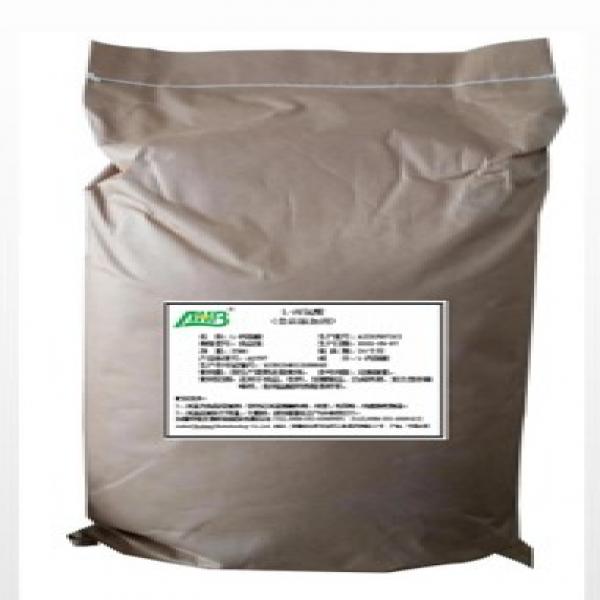 ModuMax™ / Netherland | The Central Islamic Council of Thailand